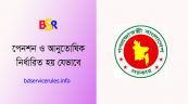 পেনশনের হার ২০২৬ । প্রতি ১ টাকা মূল বেতনের জন্য ২৩০ টাকা প্রাপ্য হউন ...